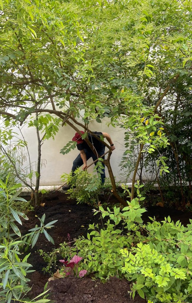 CDI - Jardinier(ère) Urbain - Entretien plantes d'intérieur H/F - Merci ...