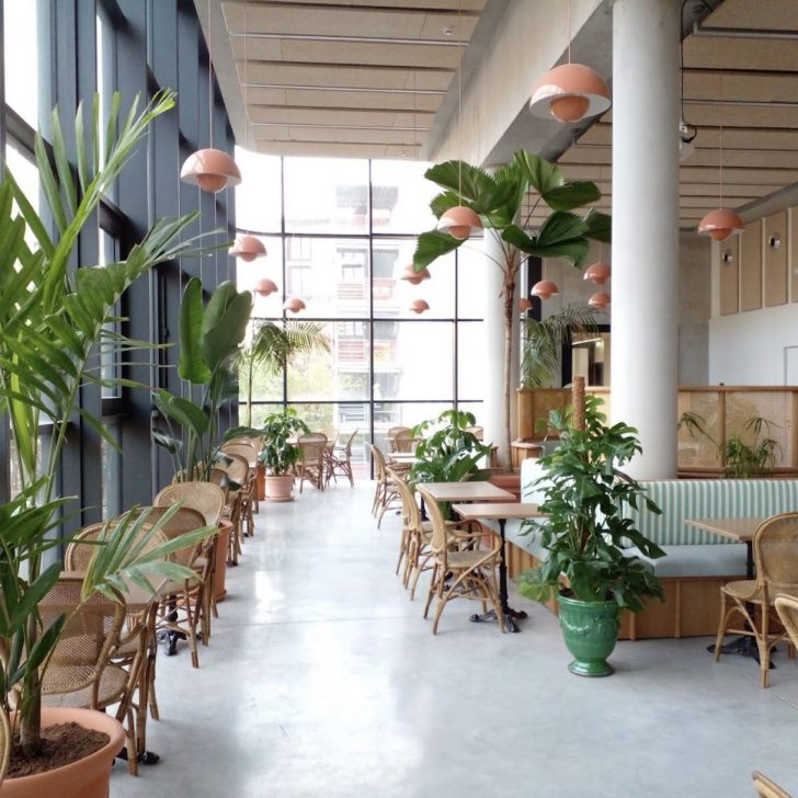Merci Raymond | Jardiniers urbains créatifs
